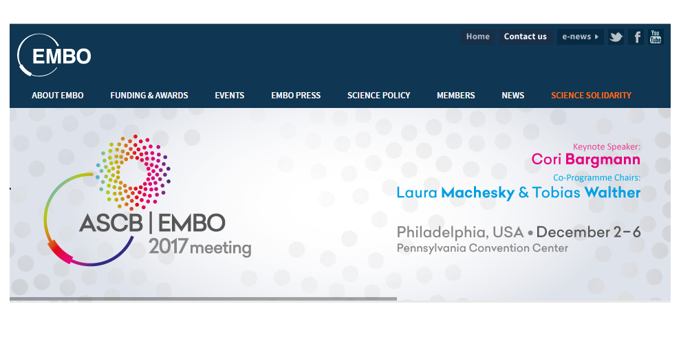 EMBO Postdoctoral Long-Term Fellowships 2017