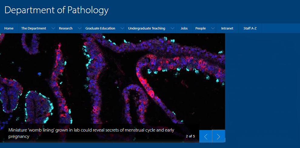 Three-year PhD Studentship at the Department of Pathology 2017 ...