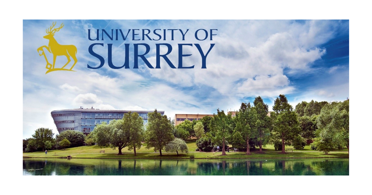 University of Surrey Research Fellowship Program 2019, UK