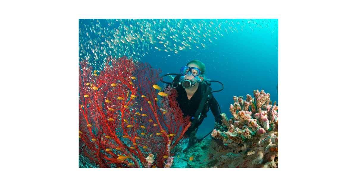 Call To Action — Ocean Innovation Challenge 2020, United Nations ...